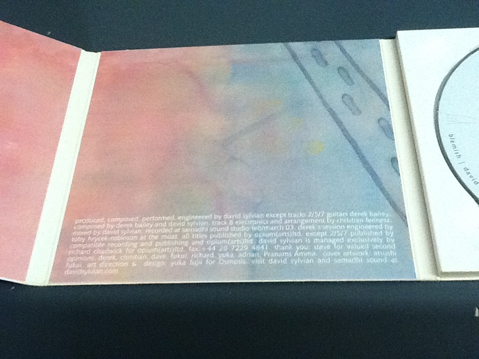 David Sylvian - Blemish CD, Album m Digipak (UK & US) 2003 - 2025: 1 in ...