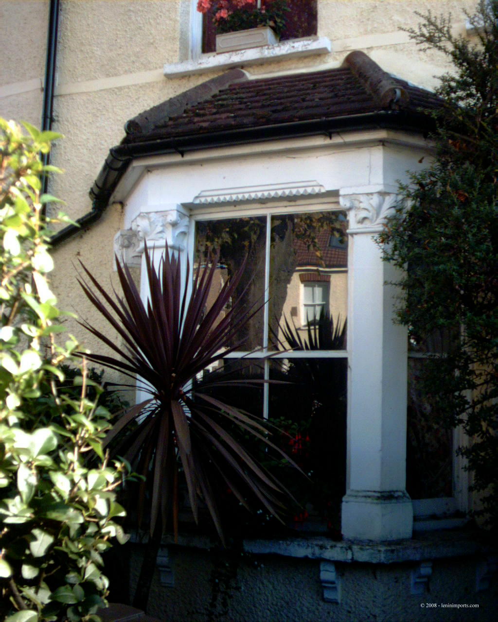 Wallington, Surrey - Photographs (2008)